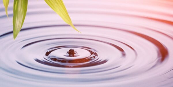 7 Steps To Get More Flow and Flow Energy Healing Activation - Forensic ...